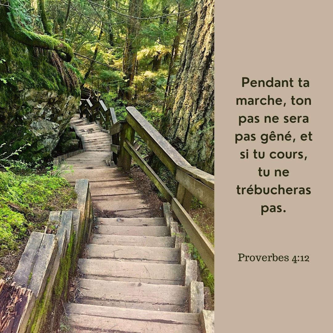 AKUNA MATATA - KCATALOGUES